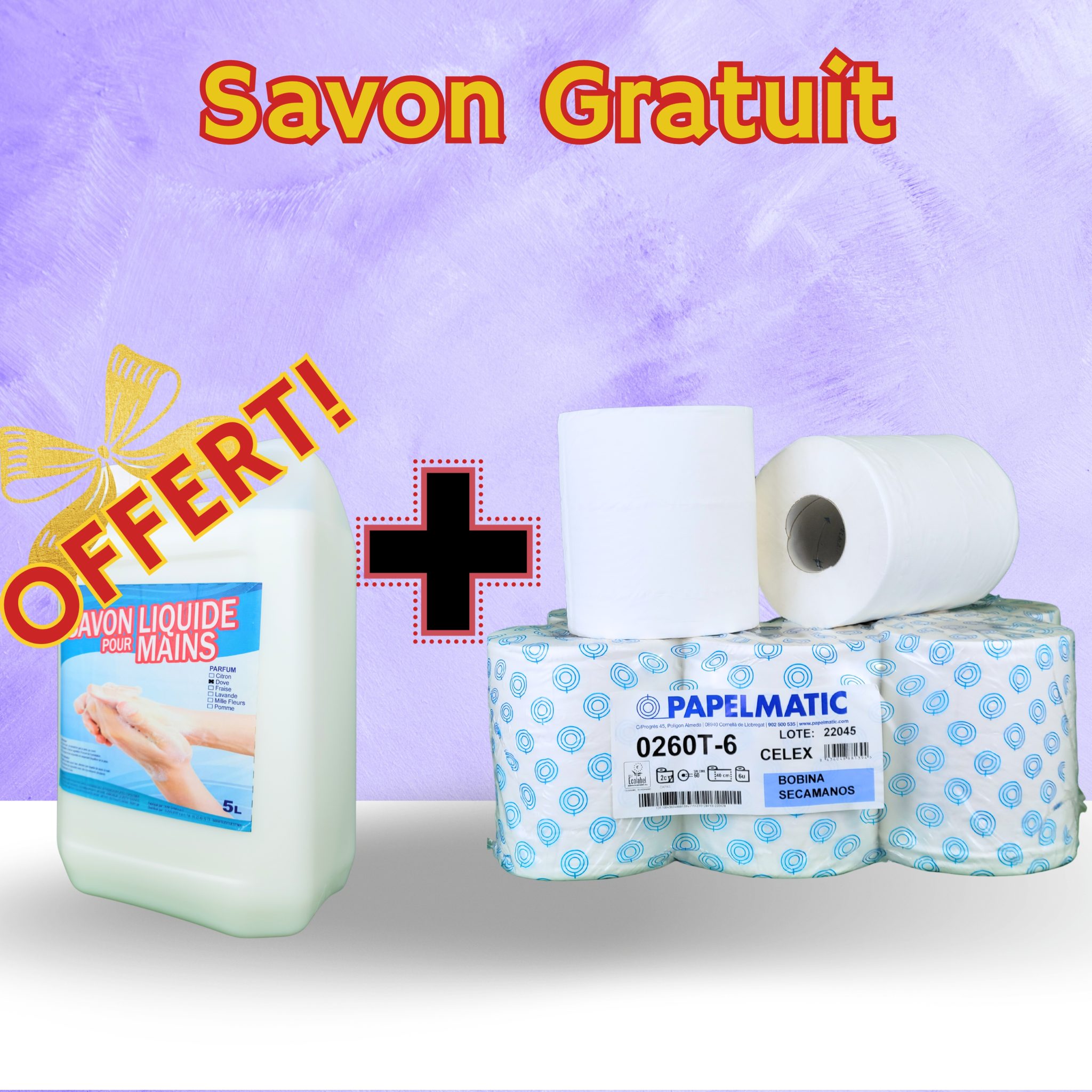 Pack de Papier Essuie-Main + Bidon de Savon - sudouest